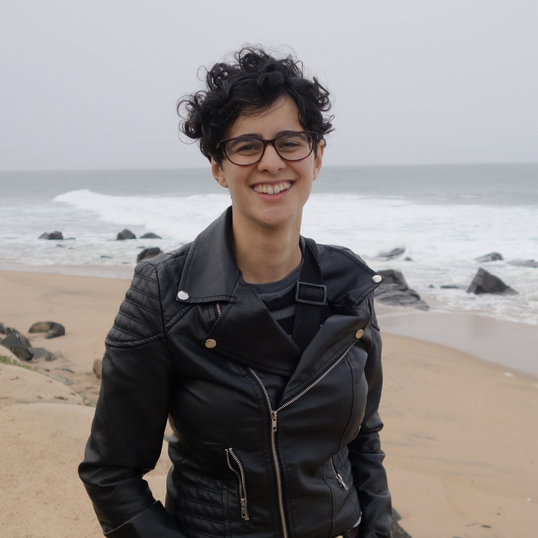 Phyco – Packaging without plastic – Packaging without plastic